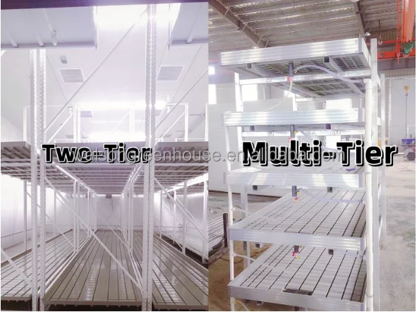 Indoor Farm Mushroom Racks Growing Shelves Growing System Hydroponic ...