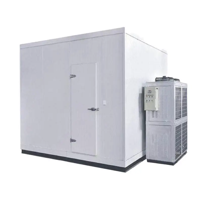 4ton Dual-sided Stainless Panel Bitzer Compressor Cold Fresh Room ...