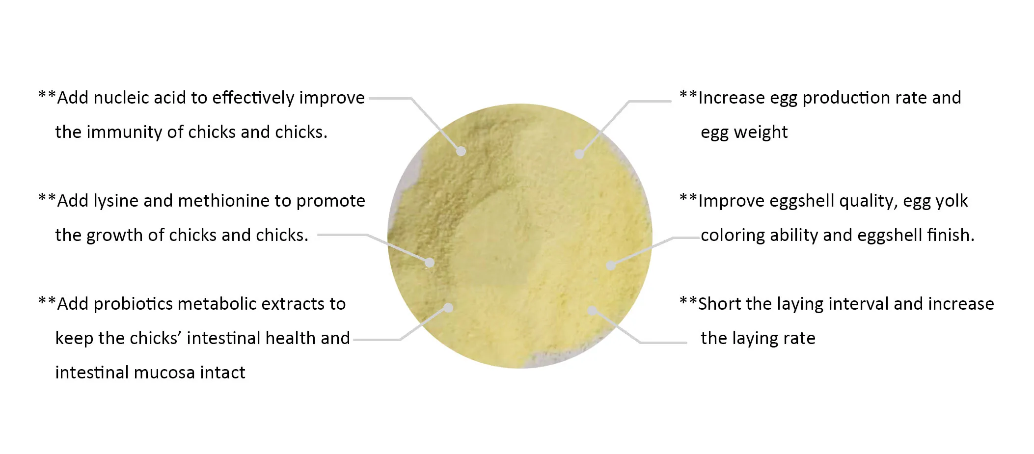 5% Poultry Series Compound Premix Feed for Layer Chicken
