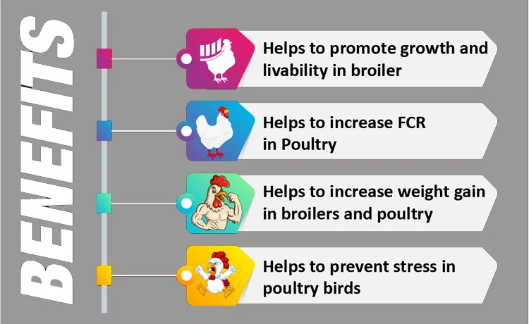 Chicken Boosters - Vitamins for Poultry Fast Growth