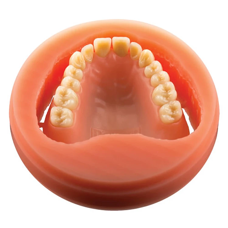 Narrow Bead Size PMMA - Acrylic Powder for Dental Uses