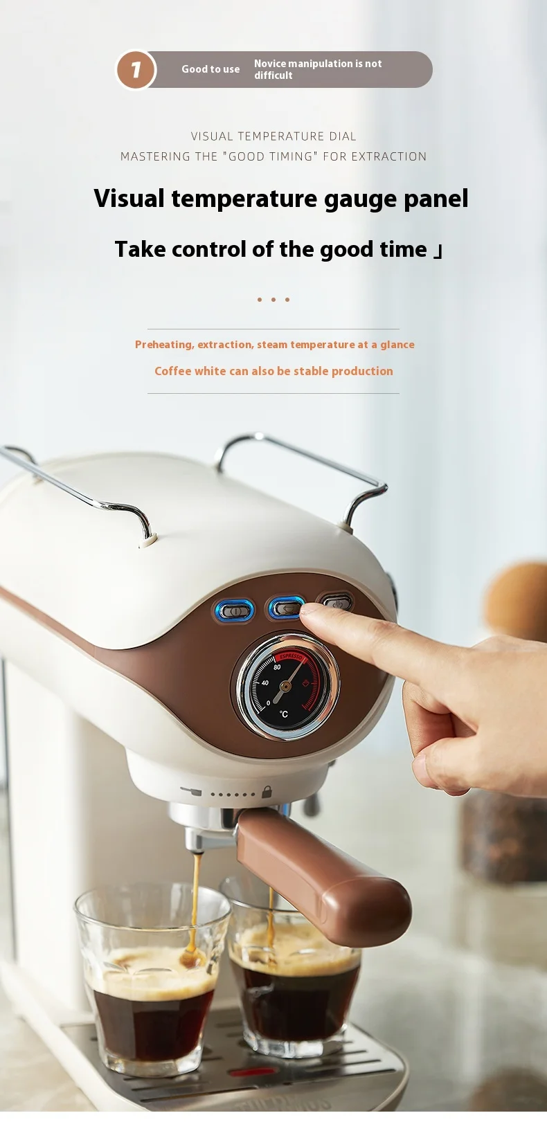 Portable 220V Stainless Steel Espresso Coffee Machine with Manual Steam ...
