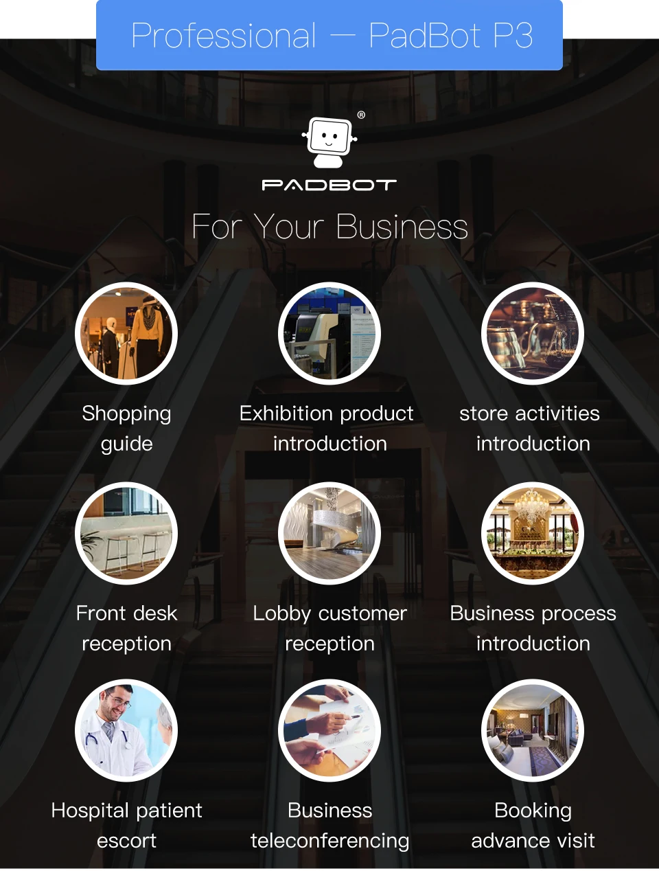 PadBot AI Commercial Reception Robot for Advertising and Greeting ...