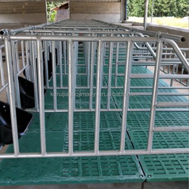 Animal Farm Breeding China Gestation Bed Sow Swine Farrowing Pens for ...