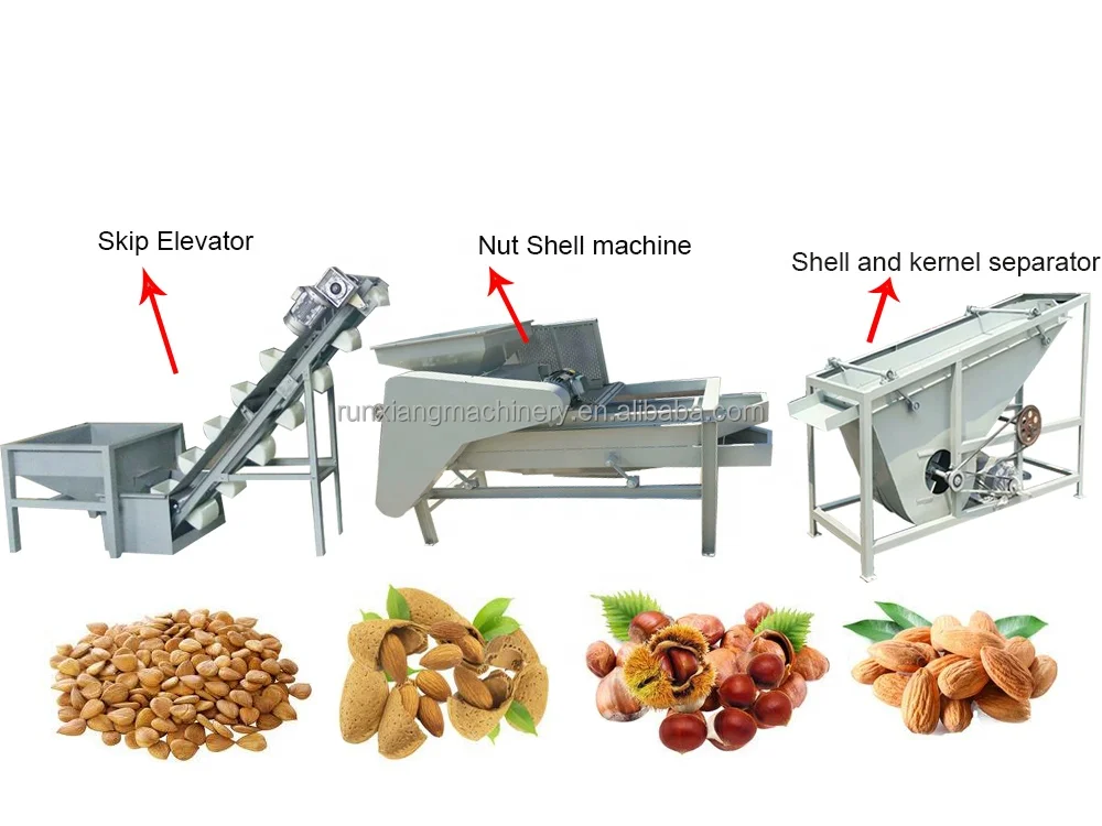 High Efficiency Nuts Processing Machines - Reliable Solutions