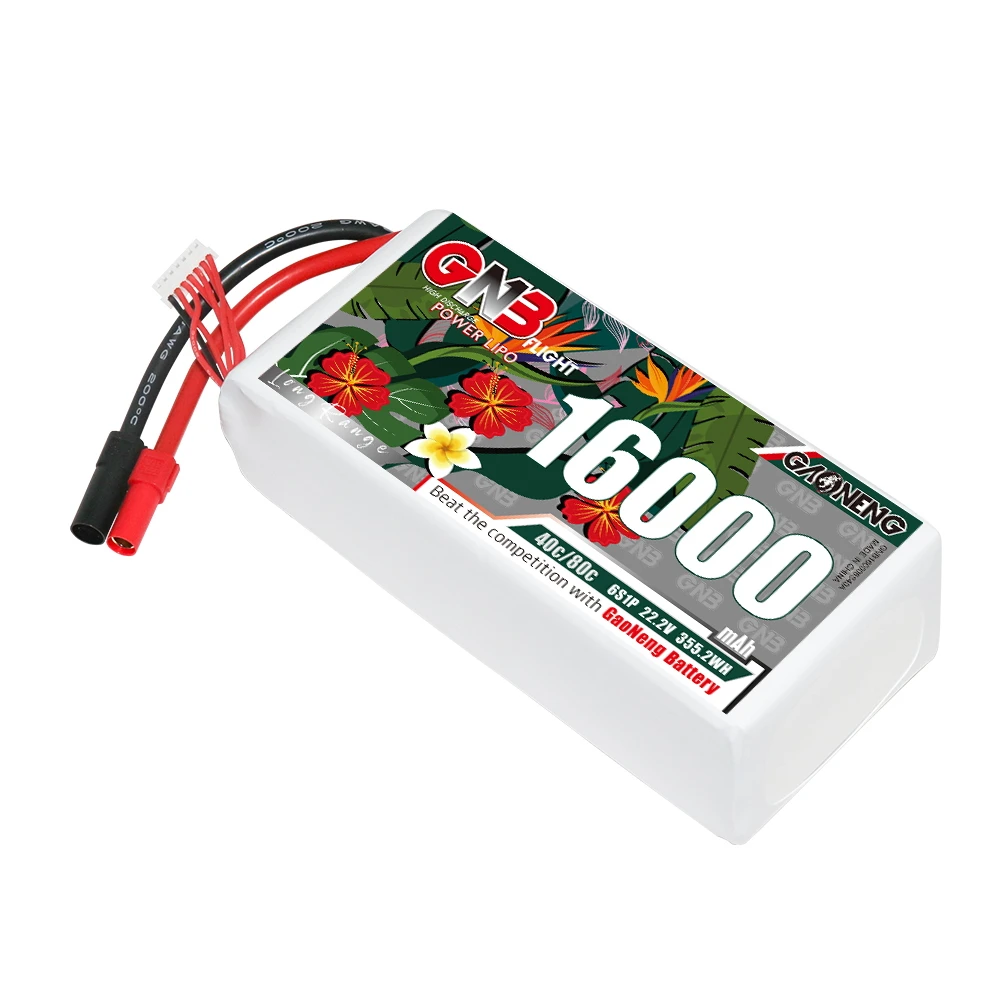 GAONENG GNB 6S 22.2V 16000mAh 40C 80C XT150 RC LiPo Battery Large Scale ...