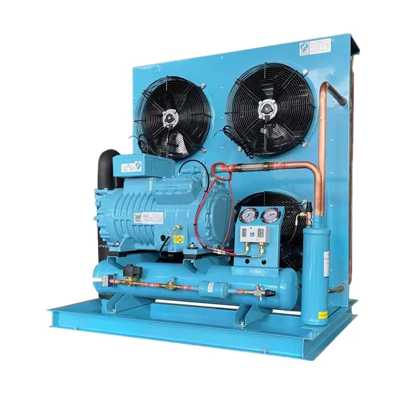 Energy-saving Cold Room Refrigeration with Bitzer & Emerson