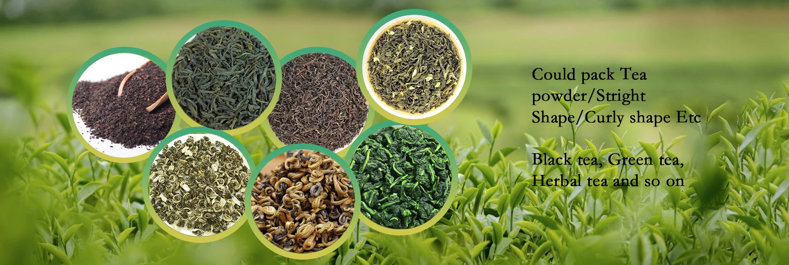 Automatic Intelligent Scale Weighing Triangle Pyramid Silk Tea Bag ...