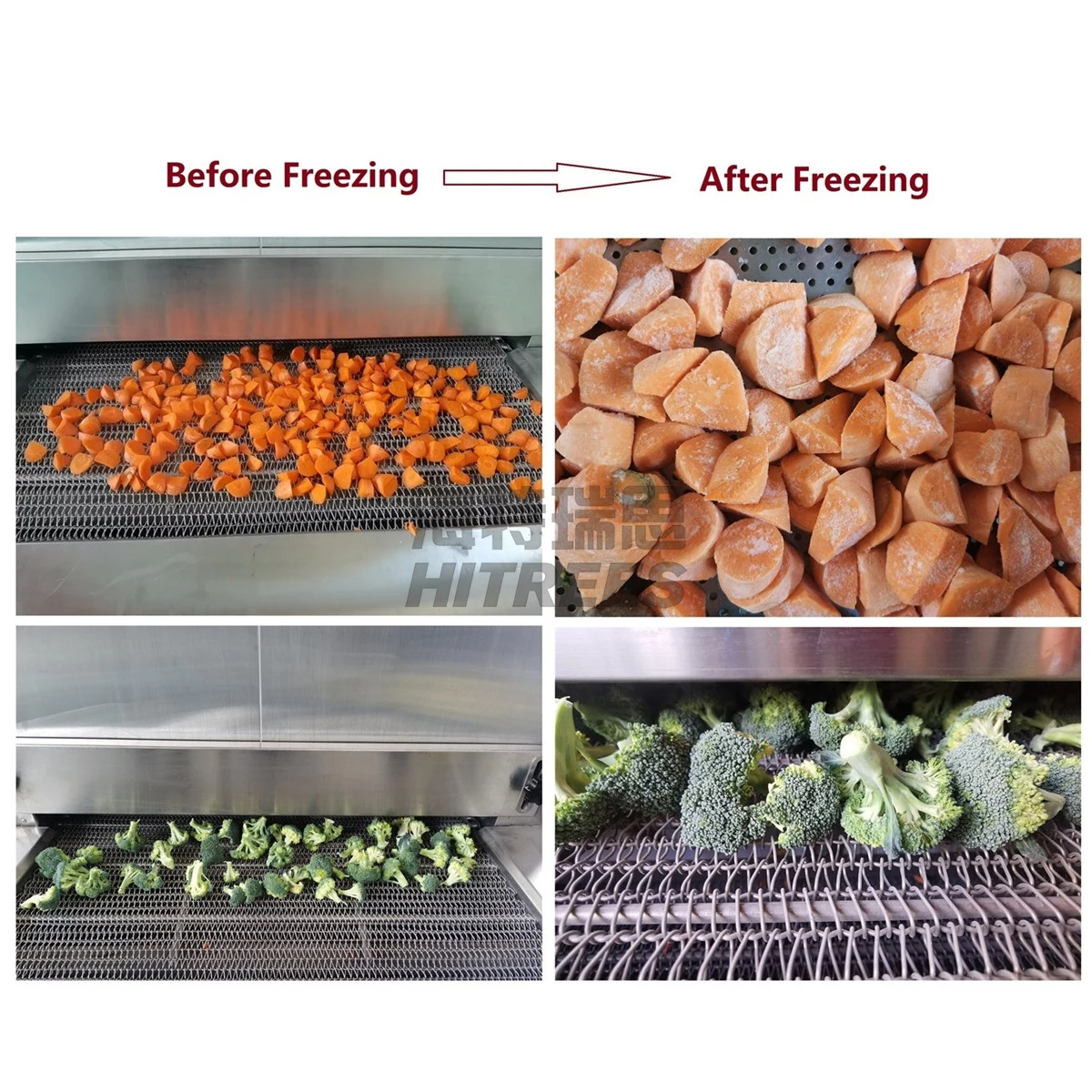 Automatic Frozen Vegetables Processing Line Tf150 150kg/h Tunnel Freezer For Fried Chips - Buy ...