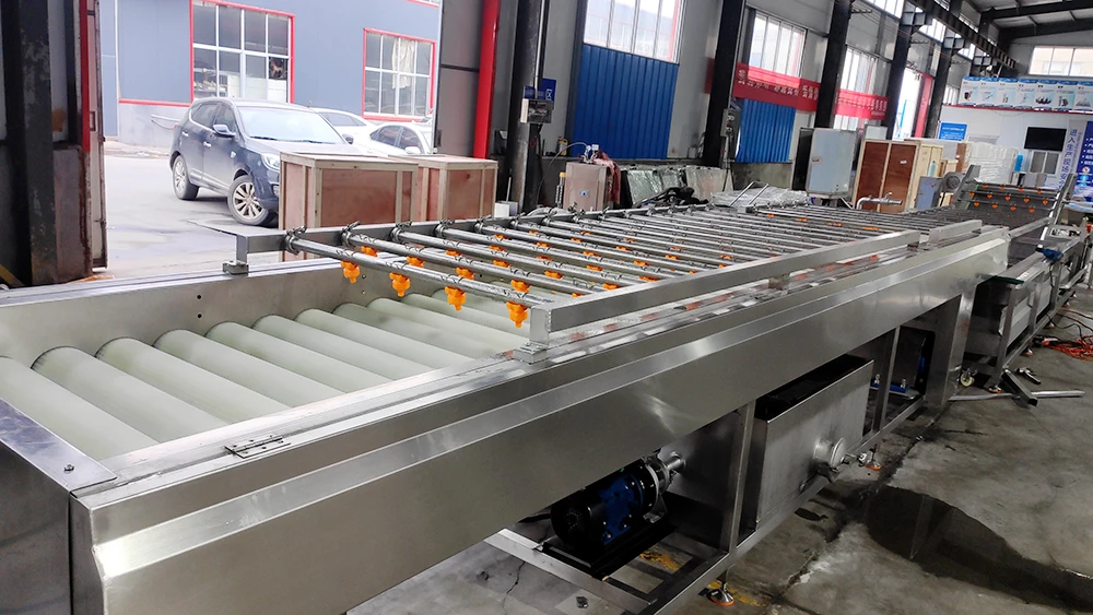 Complete 500kgs Mango Pulp Washing Sorting Machine Pineapple Peeling ...