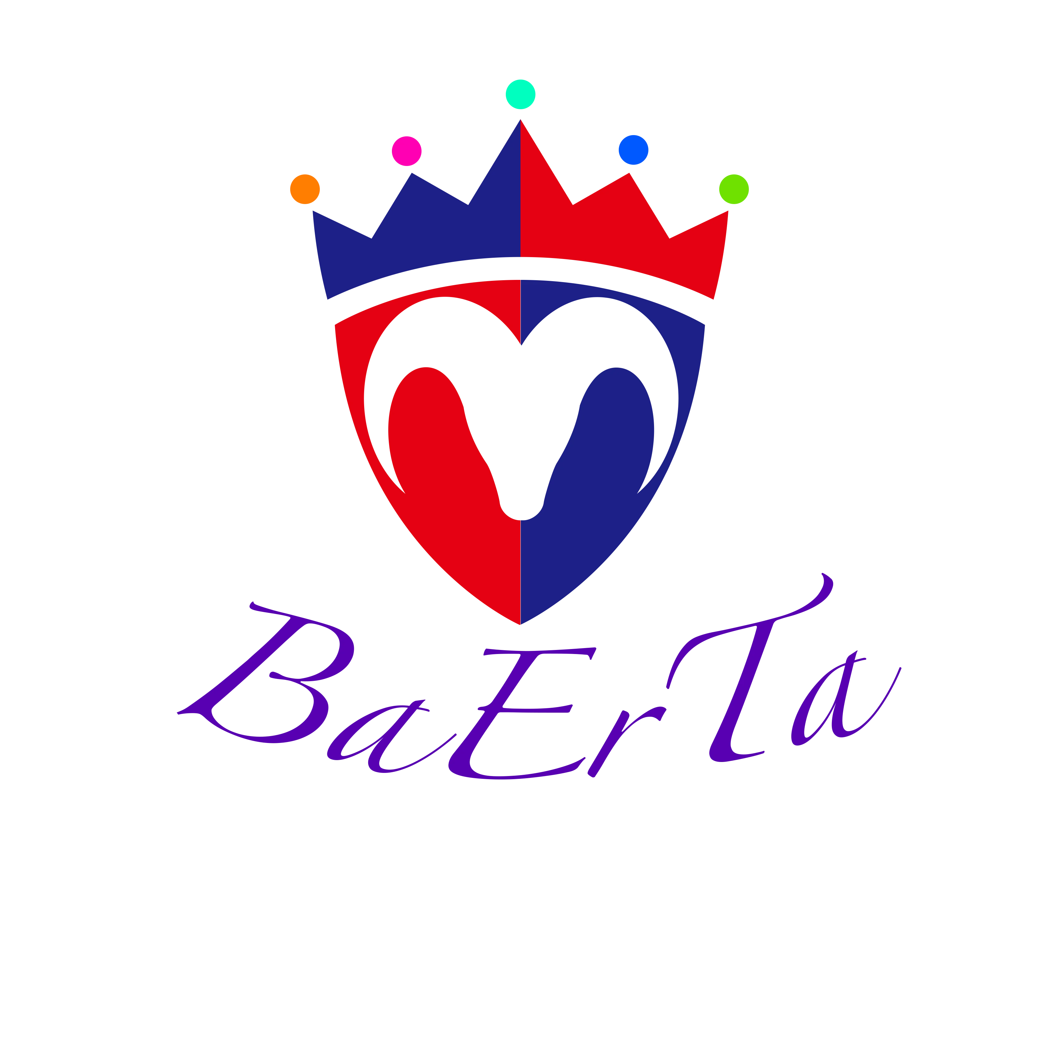 Company Overview - Shenzhen Baerta Technology Co., Ltd.