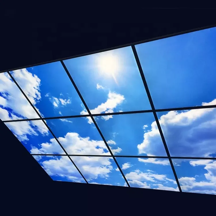 Jiaxing Led Panel Light Factory 600*600 603*603 595x595 Sky Light Panel ...