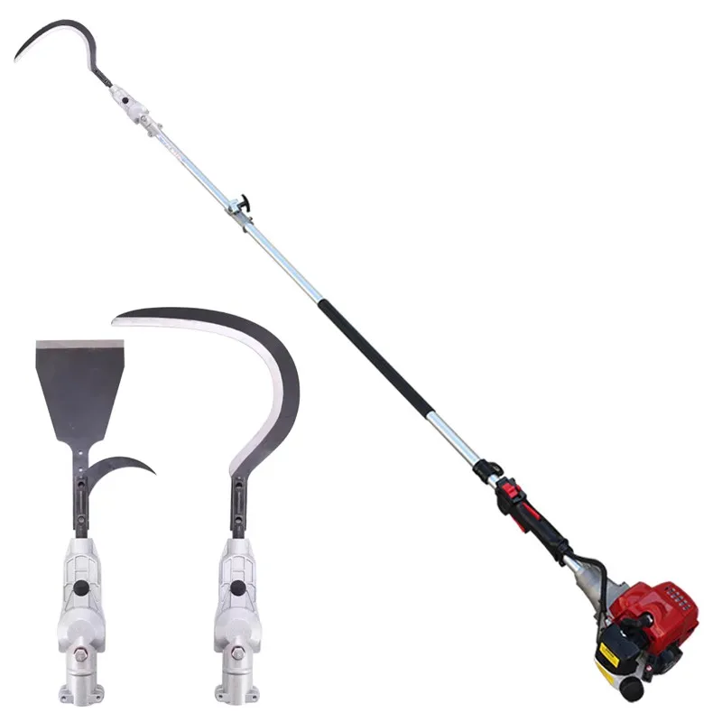 4m Palm Tree Pruner 25.4cc & 52cc Oil Palm Cutter Machine with OEM