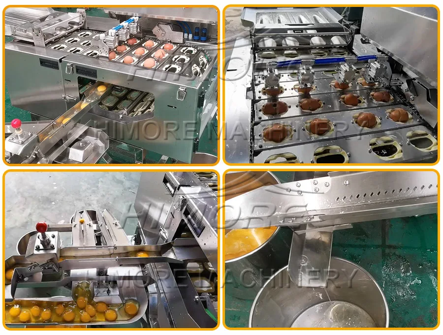 Automatic Industrial White Egg Separator Yolk Egg Breaker Cracking Egg Separating Machine From ...