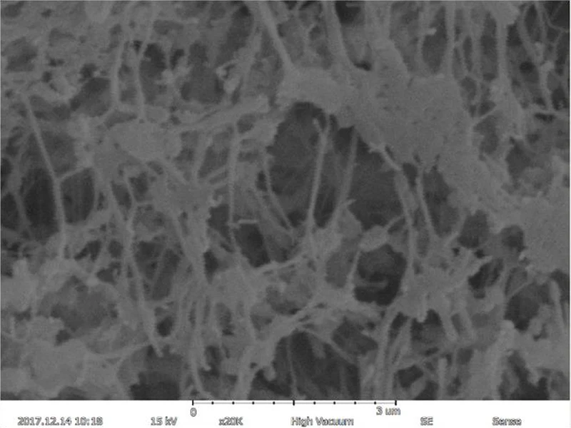 AELAB Benchtop SEM - High Resolution Scanning Electron Microscope