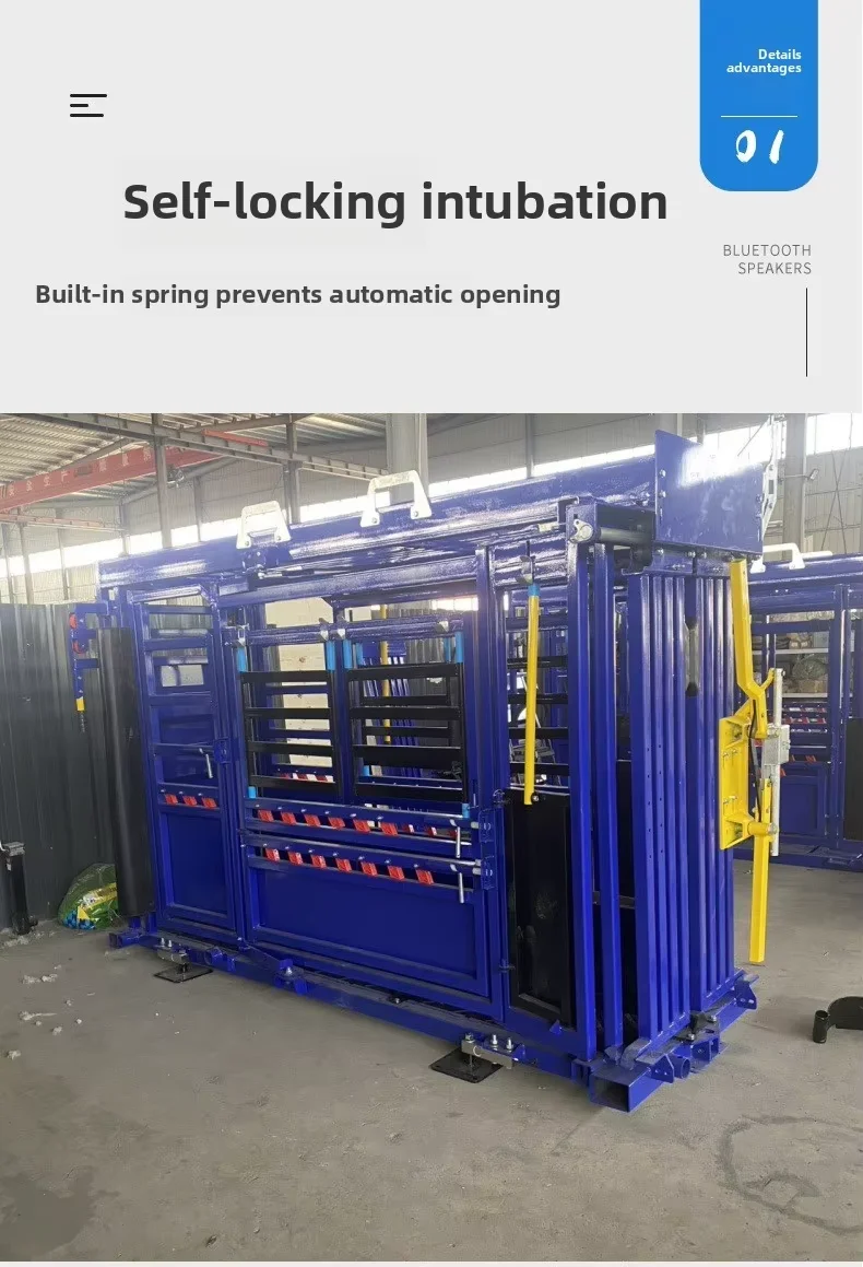 Heavy-duty Automatic Manual Cattle Squeeze Chute with Scales