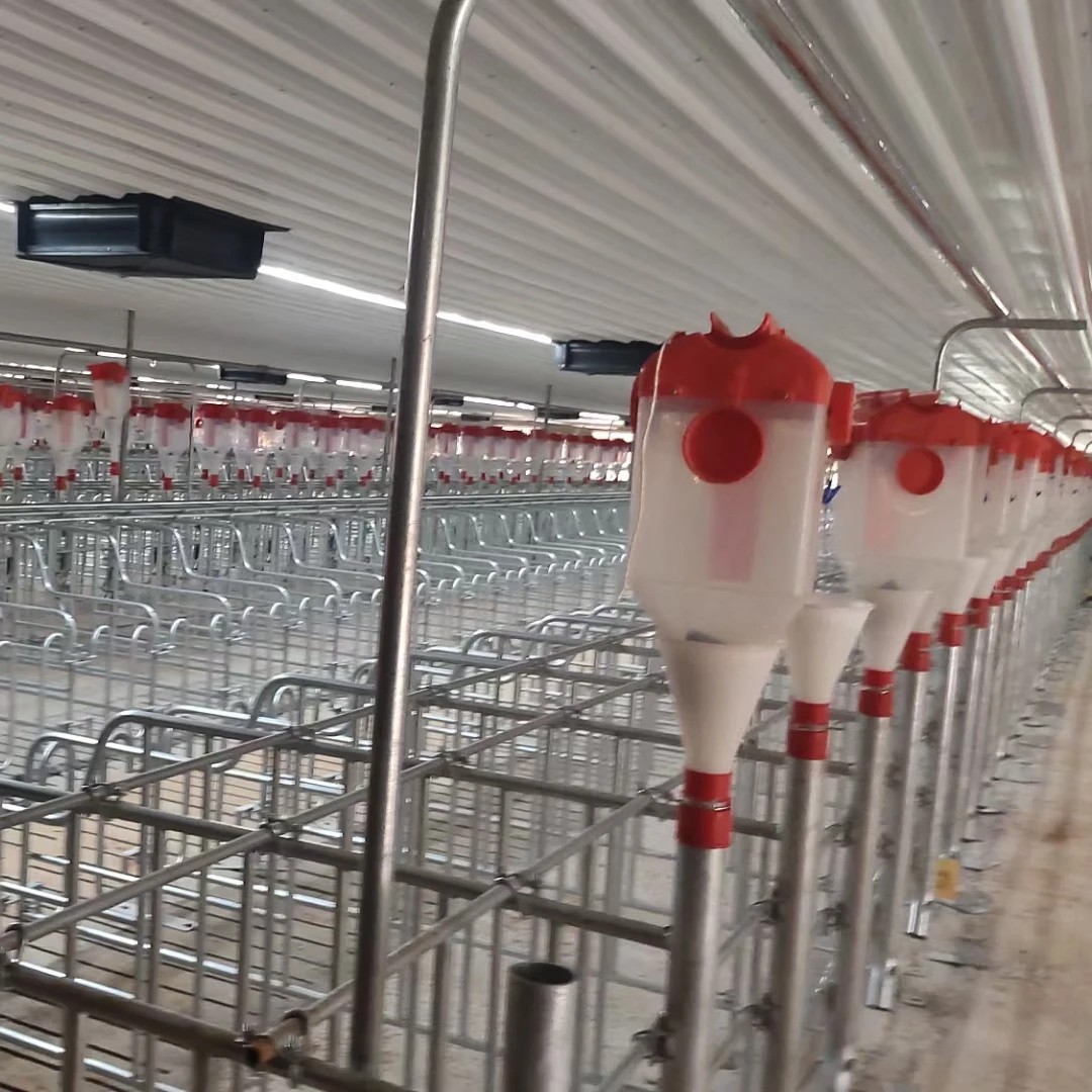 Customized Fully Automatic Pig Sow Feeding Line Hog Farm Piggery ...