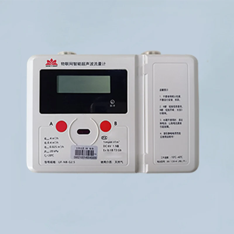 G1.6 G2.5 G4 Wall-Mounted Ultrasonic Smart Gas Meter