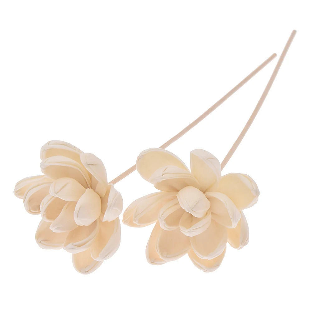 Handmade Sola Wood Flower Diffuser Dried Flower Reed Diffuser Flower ...