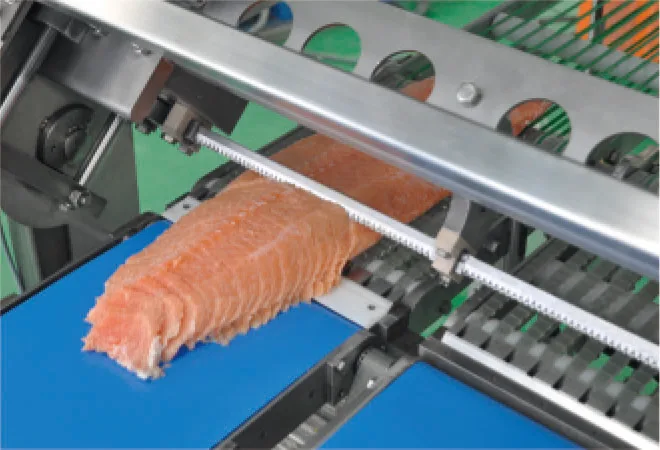 Fresh Fish Fillet Slices Cutting Machine For Russia Market Xqj2-215 ...