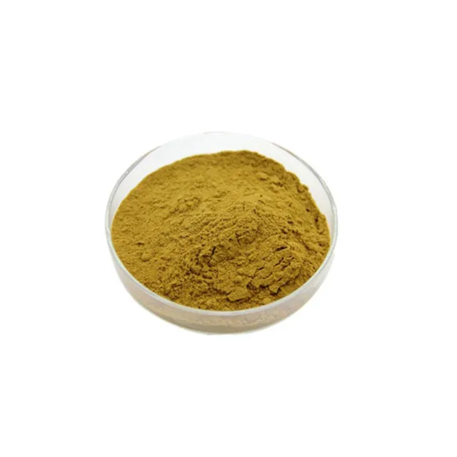 Factory Supply Andrographis Paniculata Leaf Extract 5 ~98 Andrographolide