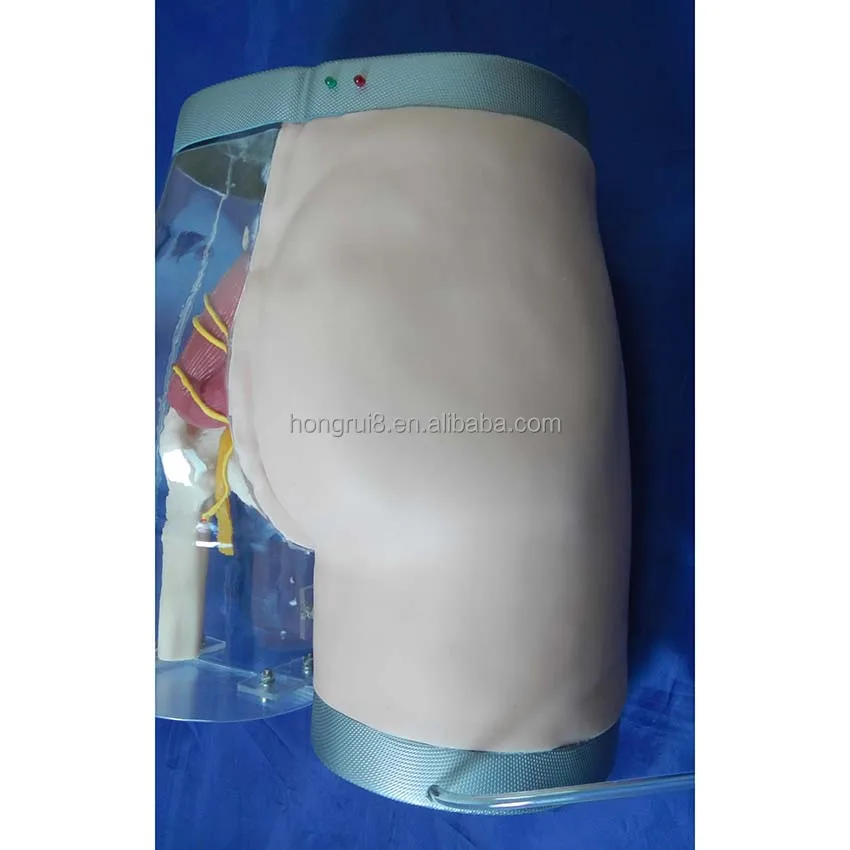 Buttocks Intramuscular Injection Model - Hip Injection Training