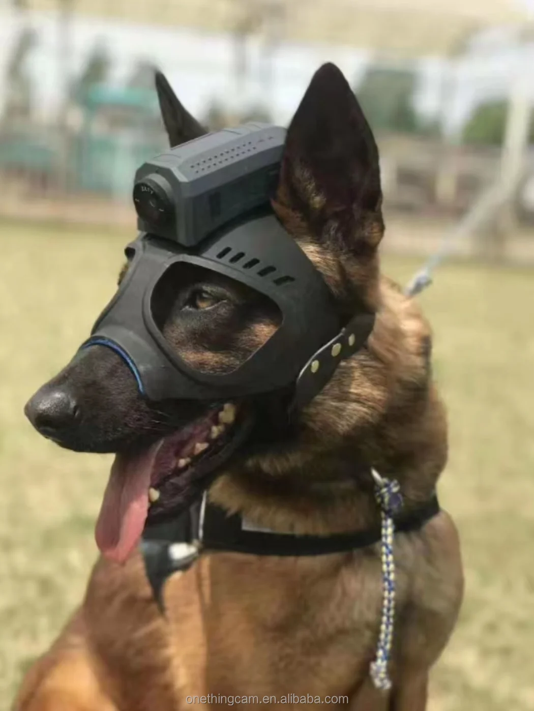K9 Helmet Shape - Dog Tactical Helmet with Glasses Design