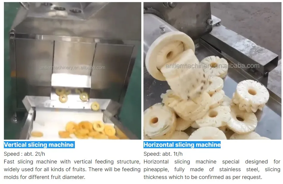Automatic Pineapple Jackfruit Peeler - High Productivity