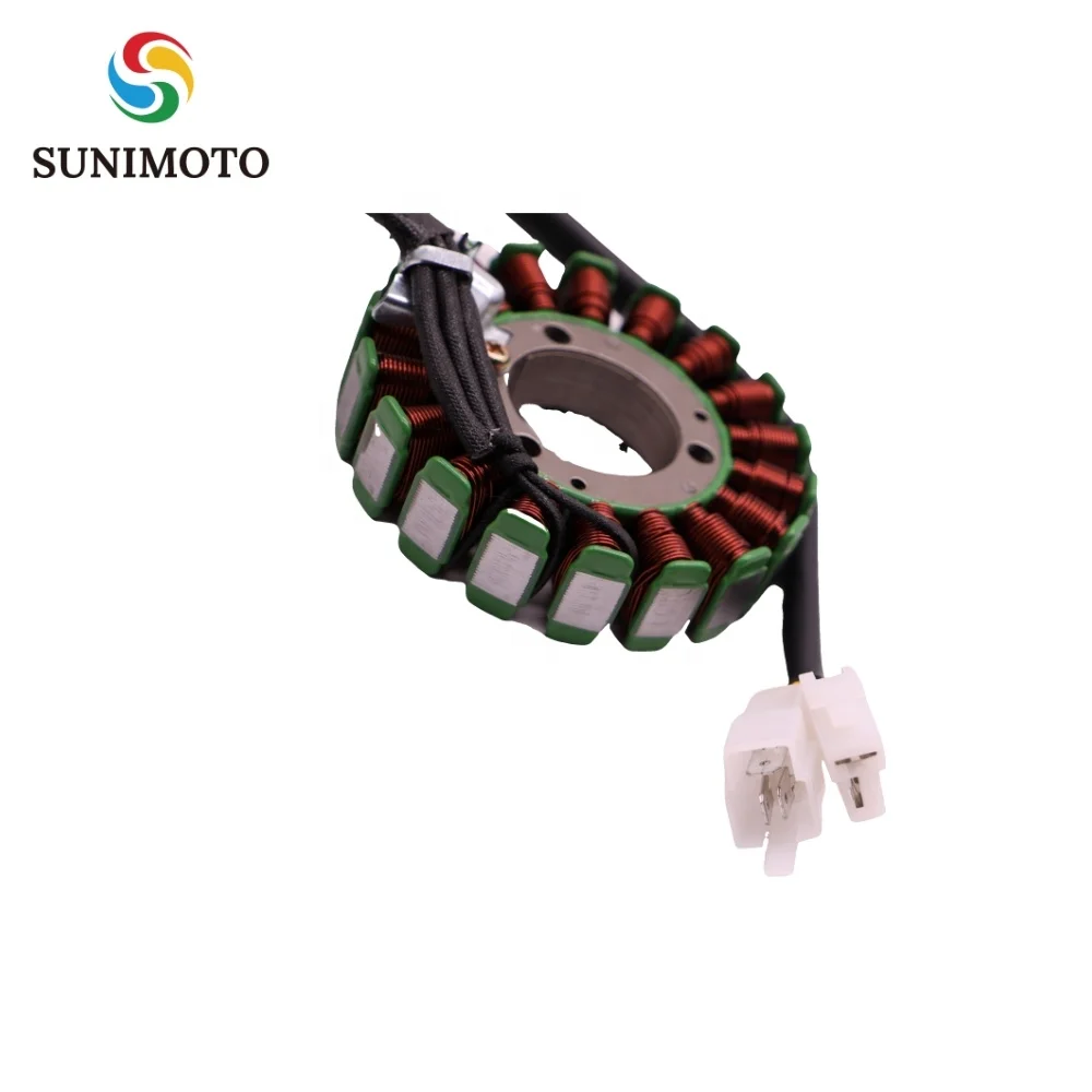 Motorcycle Stator Coil Magneto Engine Stator Rotor 125-250cc 18 Coil ...