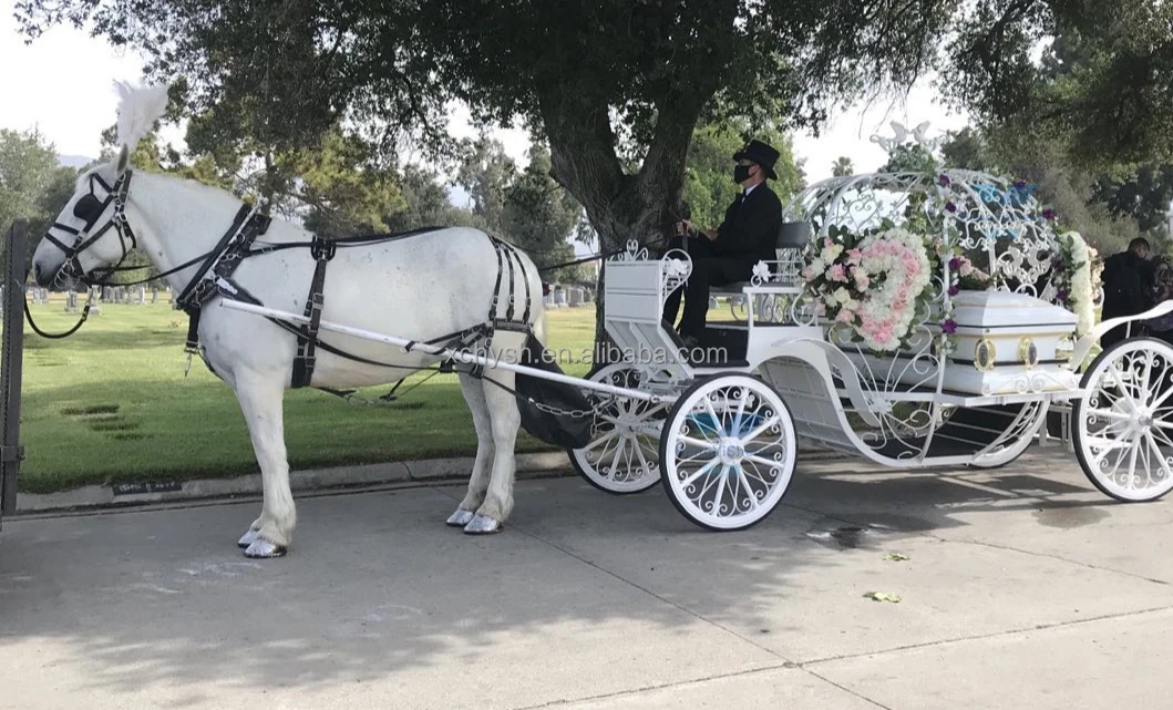 The Trailer Hearse/pumpkin Style Funeral Hearse Carriage/luxury Horse ...
