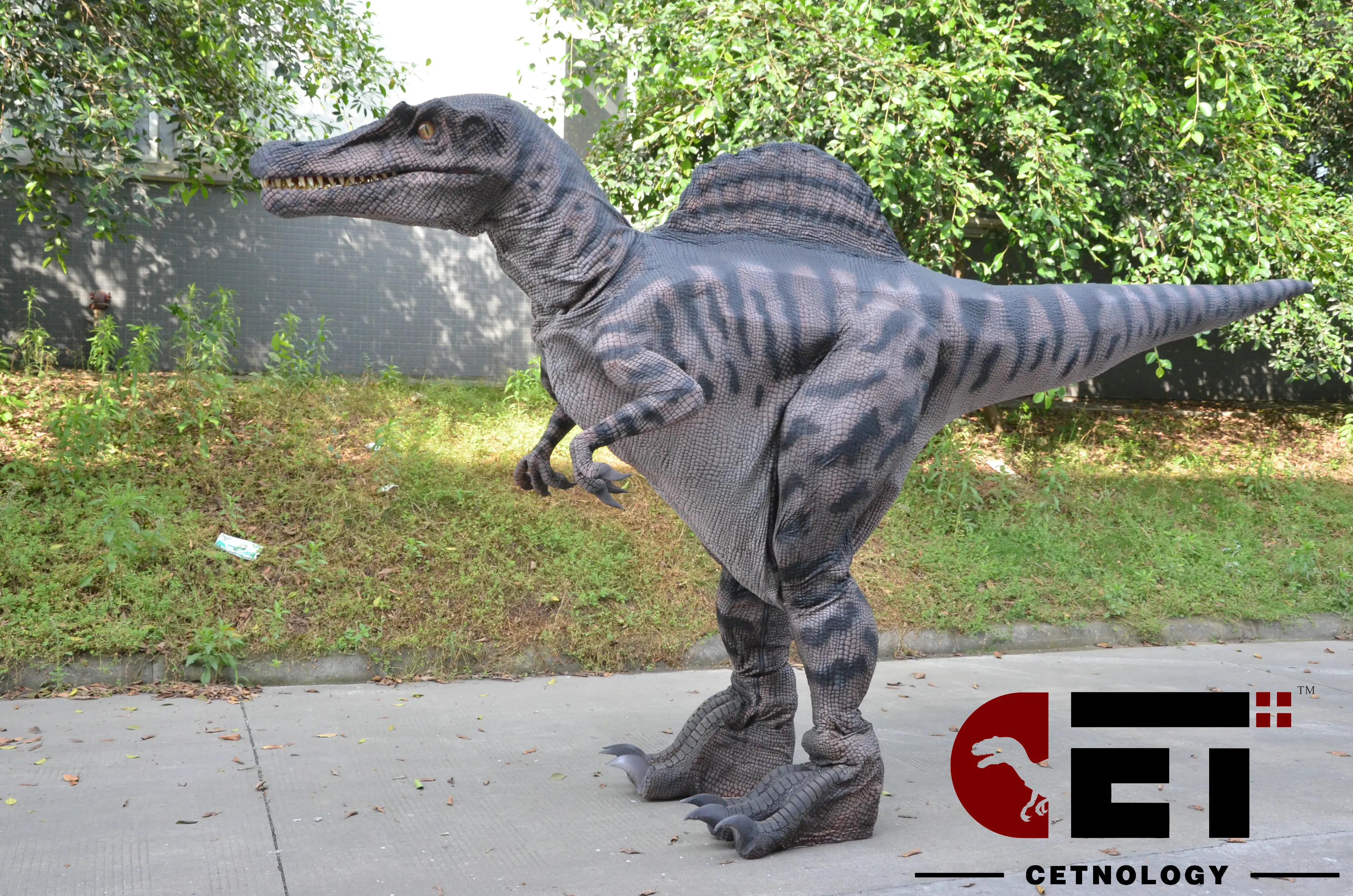Cet Dino Dinosaur Velociraptor Statue Real Size Raptor Sculpture ...