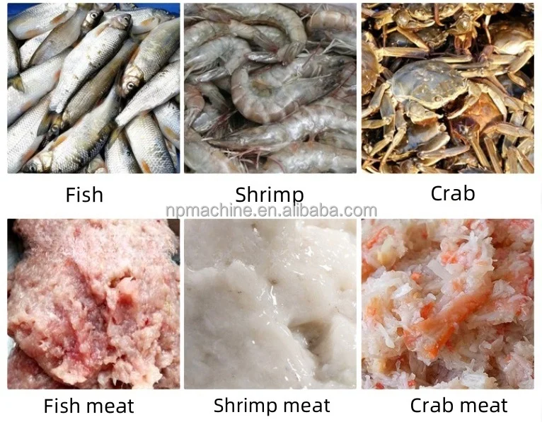 Fish Grinder Spanish Mackerel Meat Picker Automatic Fish Boneless ...