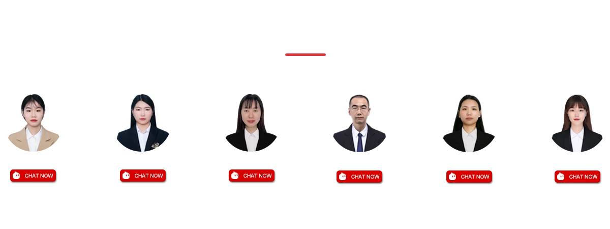 Company Overview - Red Dot Led Lighting Limited