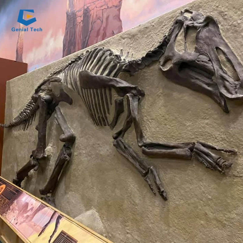 Dinosaur Replicas - Life Size, Realistic Museum Exhibits