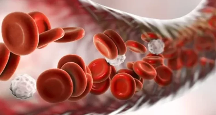 EBO2 Machine for Sale - High Efficient Ozone Dialysis