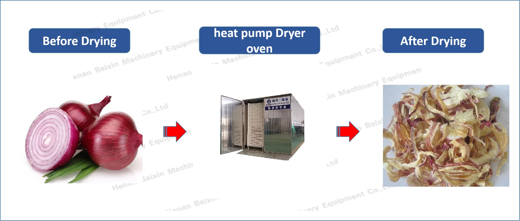 300 to 500 Kg Capacity Heat Pump Dryer for Fish & Vegetables
