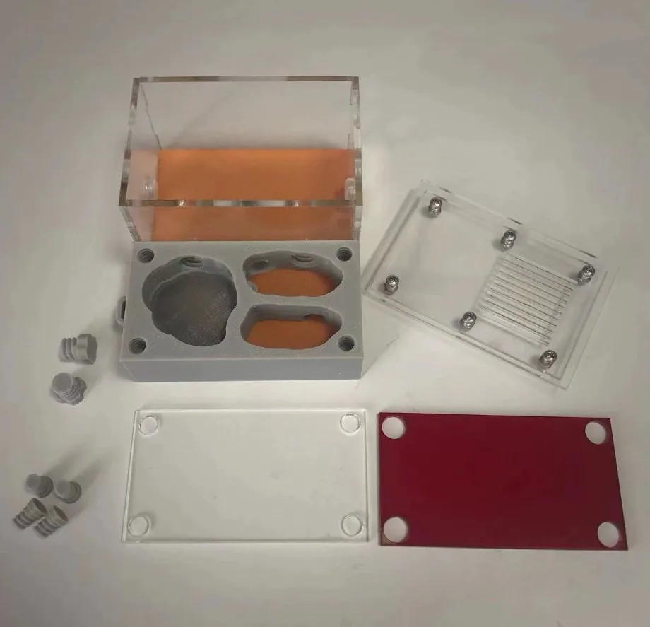 Custom Clear Acrylic 3d Ants Farm Gypsum Ant Nest Ant Formicarium Box ...