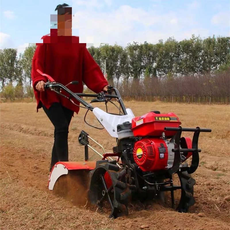 Fieldking Rotavator Price - Mini Tiller for High Productivity