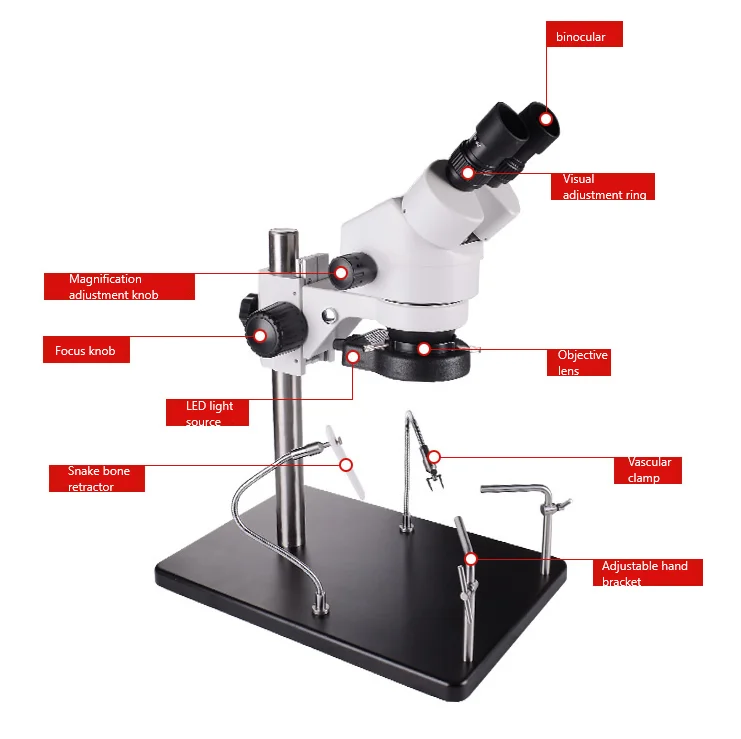 Medical Science Simulated Training Microscope Individual Microscope ...