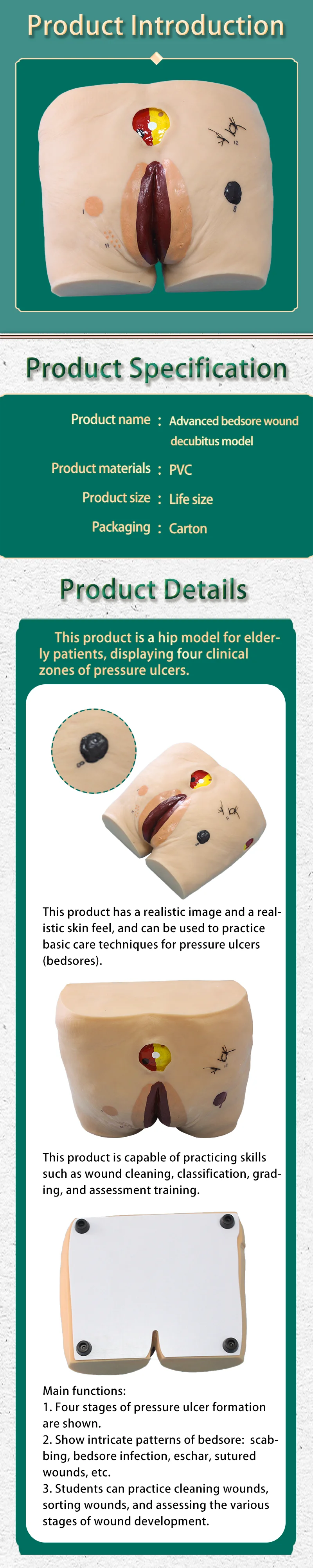 Advanced Bedsore Wound Model - Medical Training Simulator
