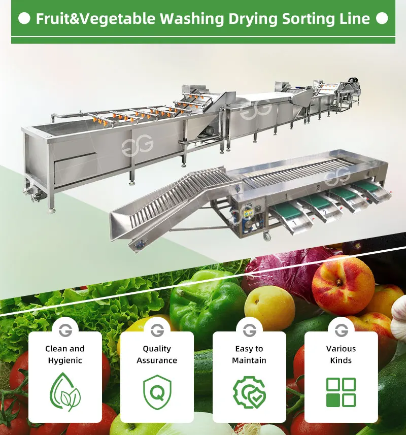 Dragon Mango Fruit Cleaning and Sorting Packaging Machine