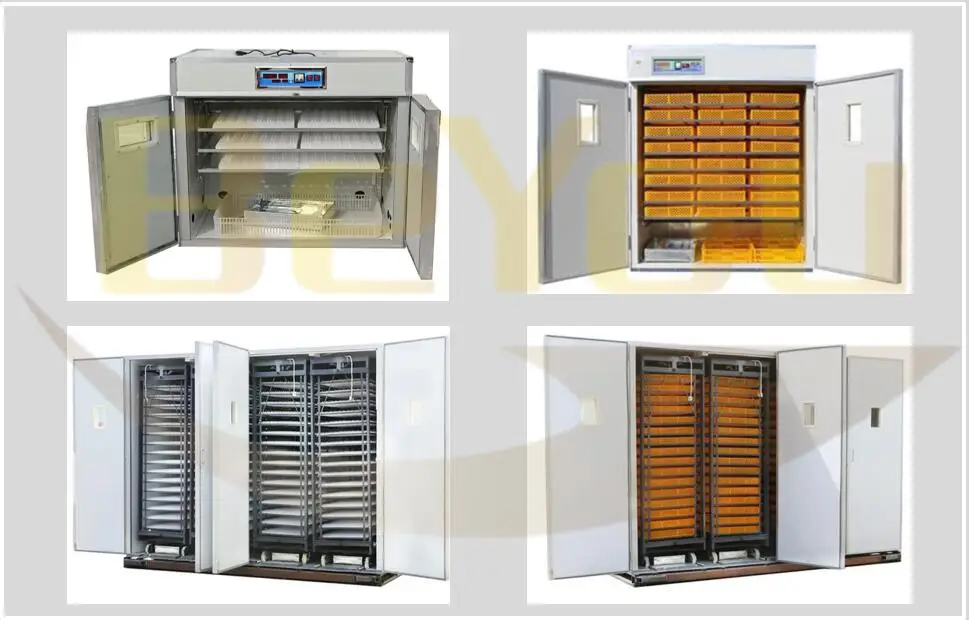 Automatic Reptile & Chicken Egg Incubator - Multifunctional Hatching ...