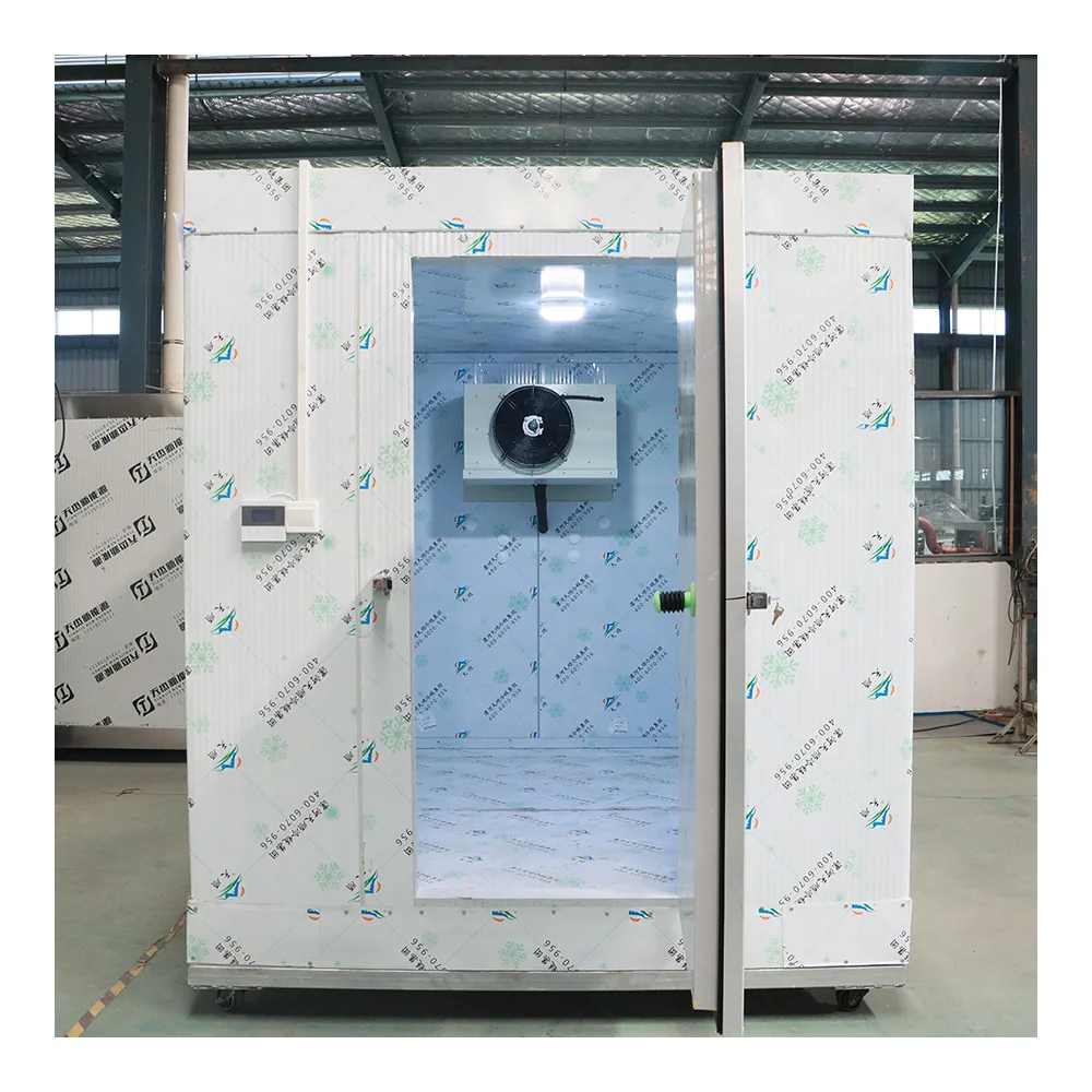 Cold storage room refrigerated container blast freezer Walk-in chilling ...