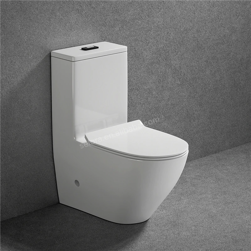 Wholesale Modern Bathroom Dual Flush Water Closet Ceramic Washdown ...
