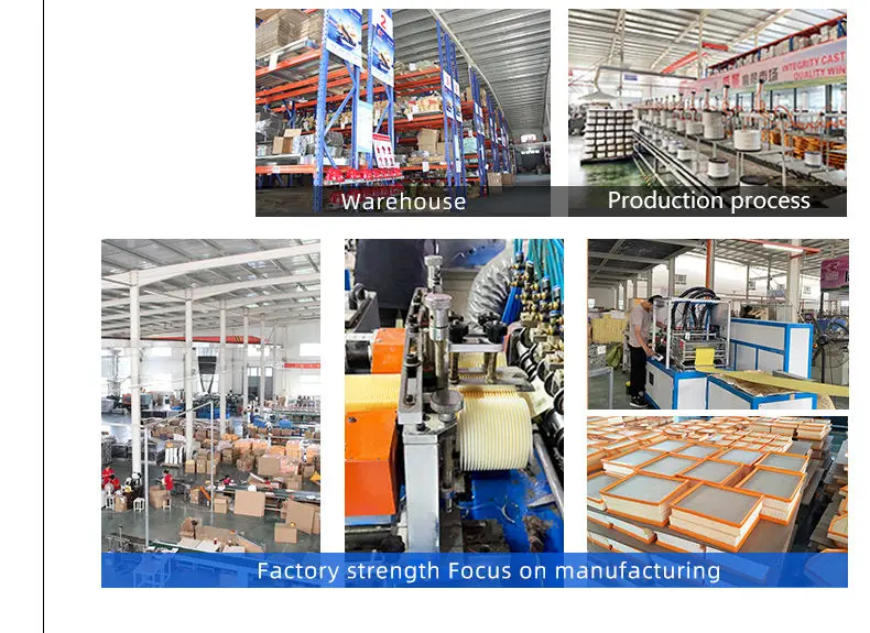 Auto Parts Fuel Filter Vsf-20226;164038815r;164039594r 319112e000 ...