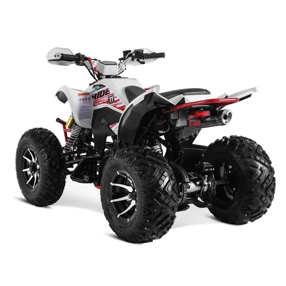 Tao Motor 2024 Cuatrimoto 250cc - Manual Gear, Automatic Start