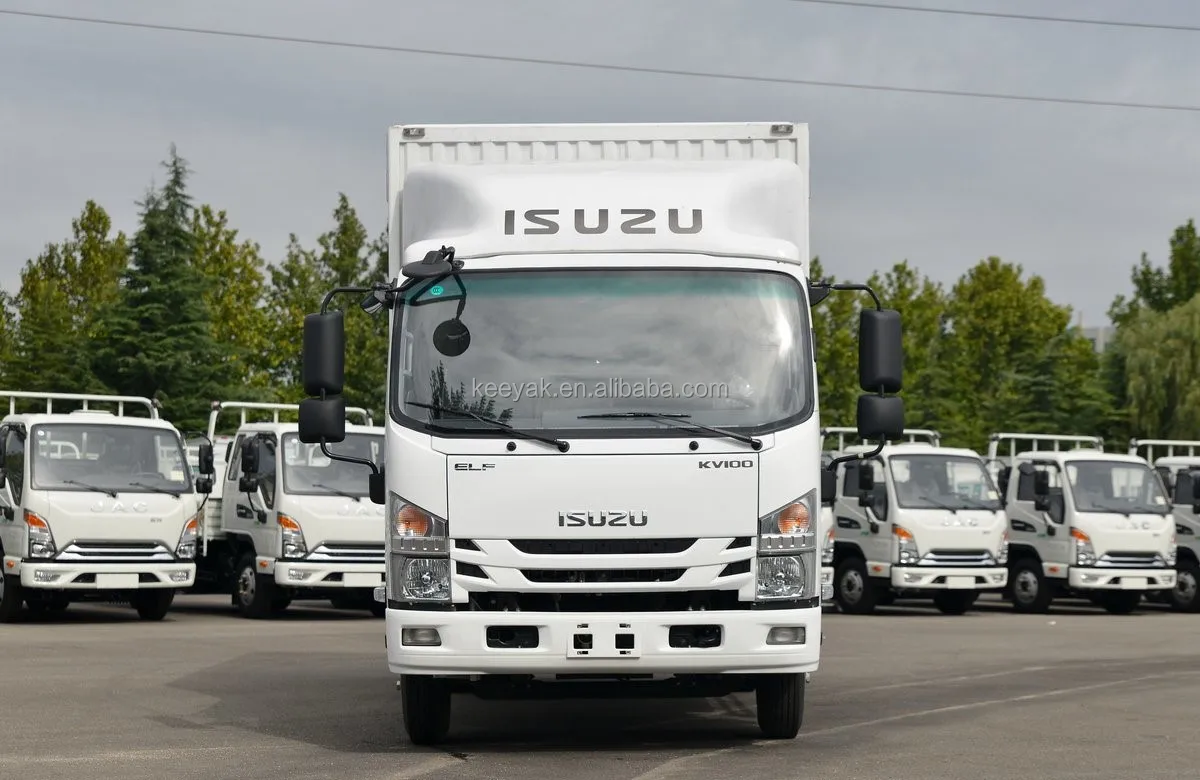 Isuzu NKR Cargo Truck - Efficient Light Transport Solution