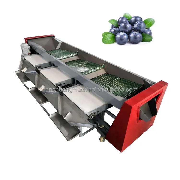 Industrial Blueberry Fruit Sorting and Grading Machine