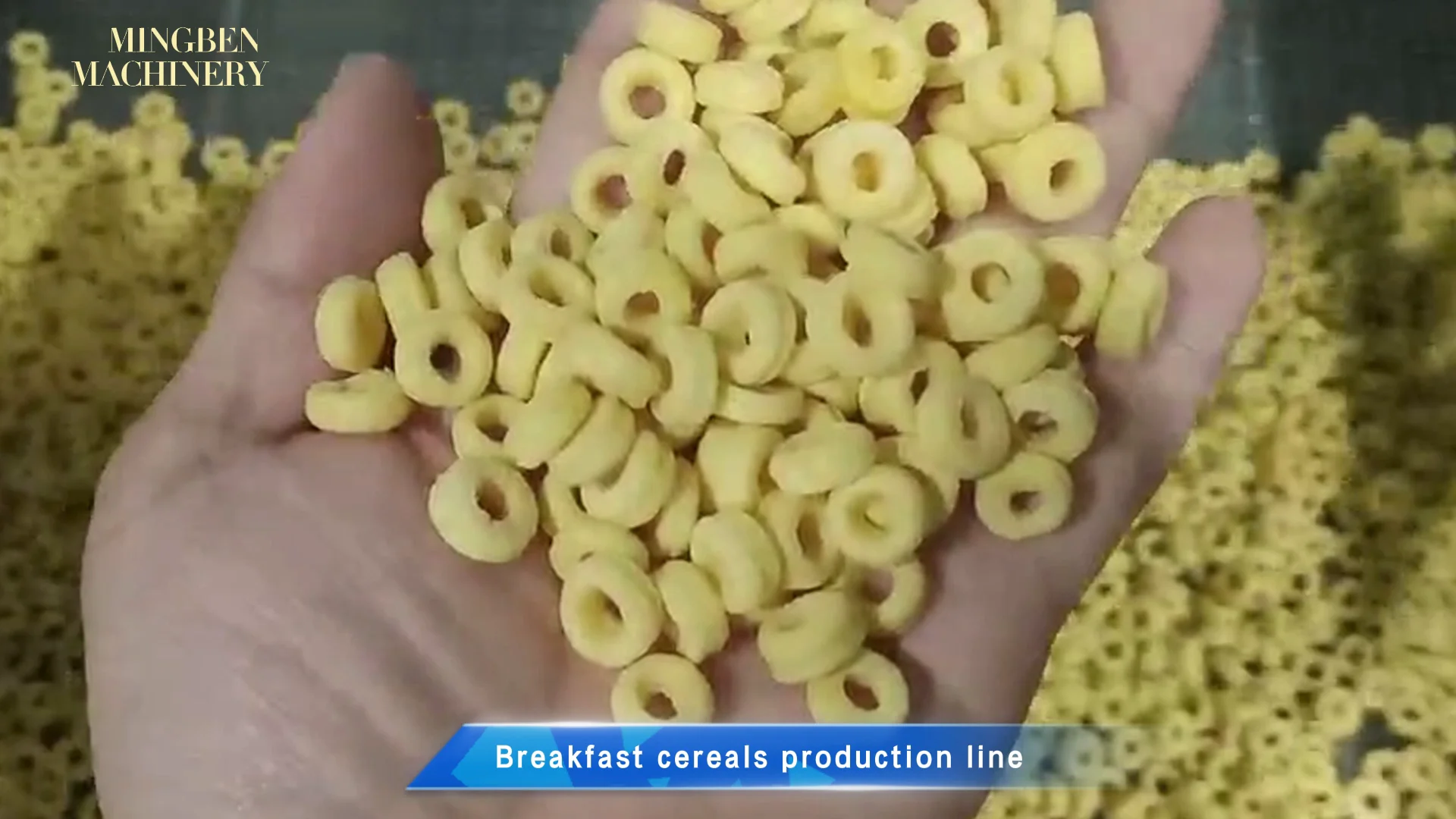 New Automatic Breakfast Cereals Corn Flakes Production Line Puffing ...