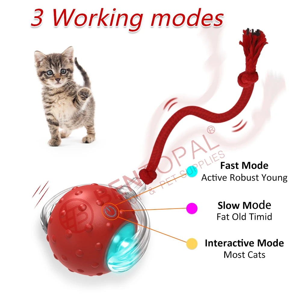 New Design Interactive Smart Cat Toy With Tail Accessories Fast Rolling ...